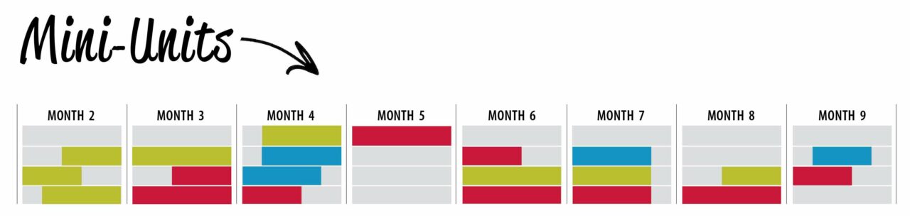 Create a writing curriculum of mini-units